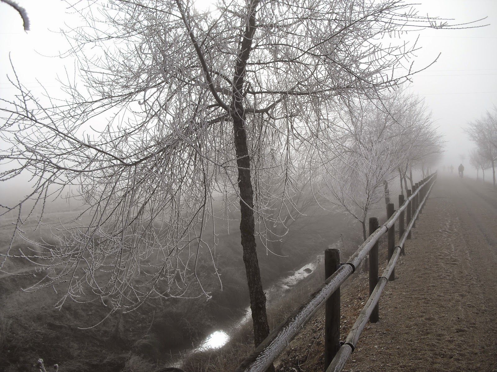 Fotos de la semana: El día de la cencellada ~ 40 rutas
