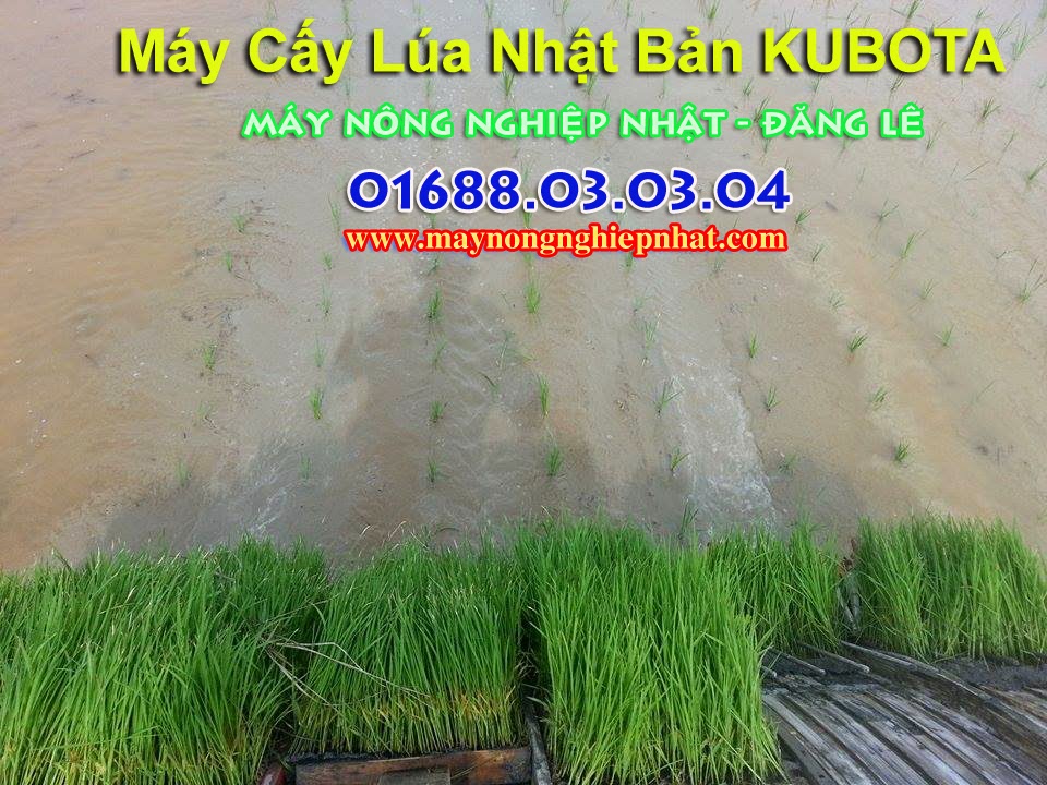 BÁO GIÁ MÁY GẶT ĐẬP LIÊN HỢP MÁY CÀY ĐÃ QUA SỬ DỤNG KUBOTA YANMAR ISEK ...