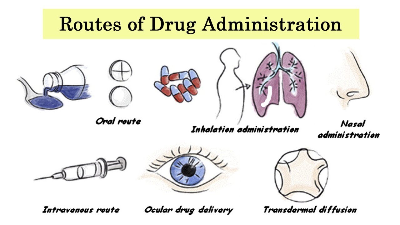 Routes of Drug Administration: An Overview - The Pharma Education ...