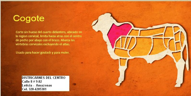 DISTRICARNES DEL CENTRO: CARNE DE RES