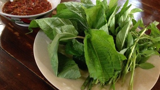 Ade UFi: Manfaat Daun Pohpohan Sumber Pangan dari Hutan