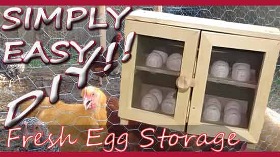 Simply Easy DIY: DIY Egg Storage - Fresh Fom the Farm