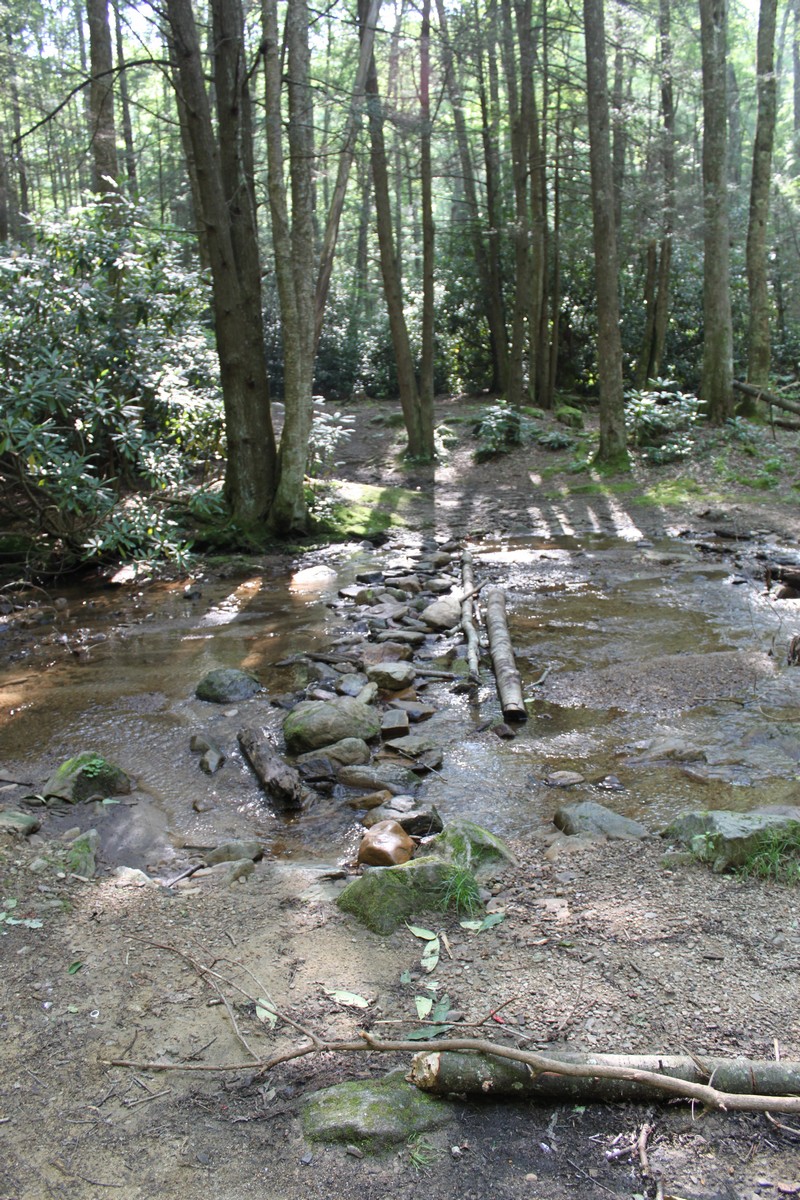 Til the Last Hemlock Dies: Red Fork Falls