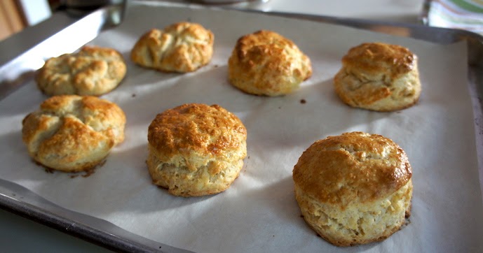 Sourdough Biscuits, again