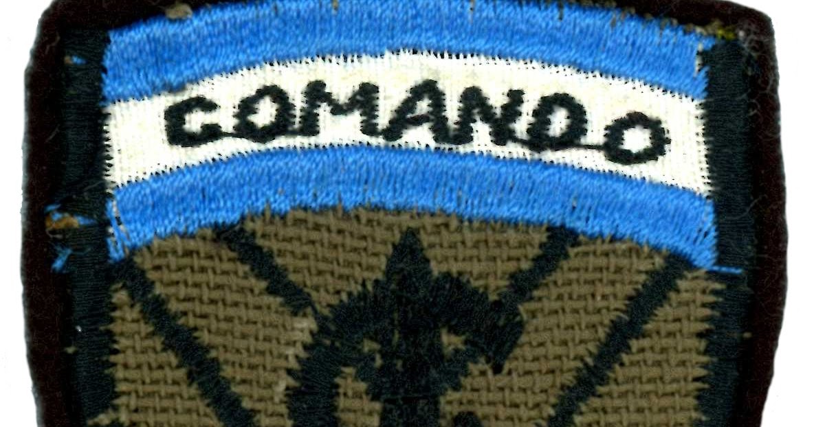 Parches de las Fuerzas Armadas Argentinas: Compañía de Comandos 601 y ...