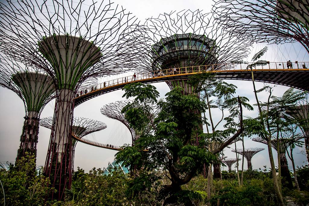 The Supertrees of Singapore ~ Kuriositas