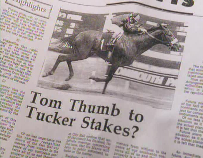 Film Fan: A Horse For Danny (4 Stars)