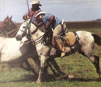 VIVENCIAS LLANERAS DEL ABUELO: El Ganado Cimarrón y las Cimarroneras (1)