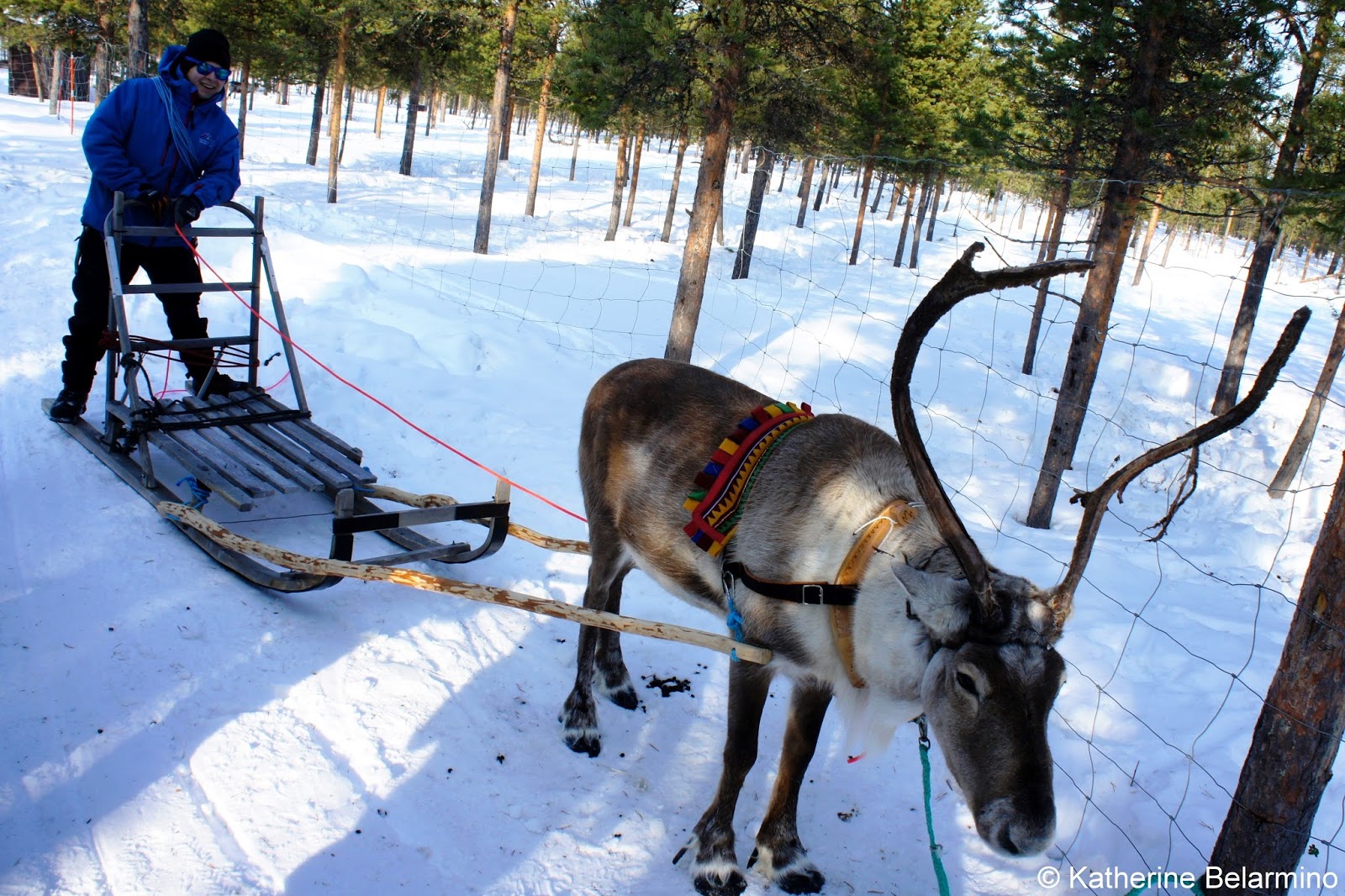 Exciting Outdoor Winter Activities in Sweden’s Lapland | Travel the World