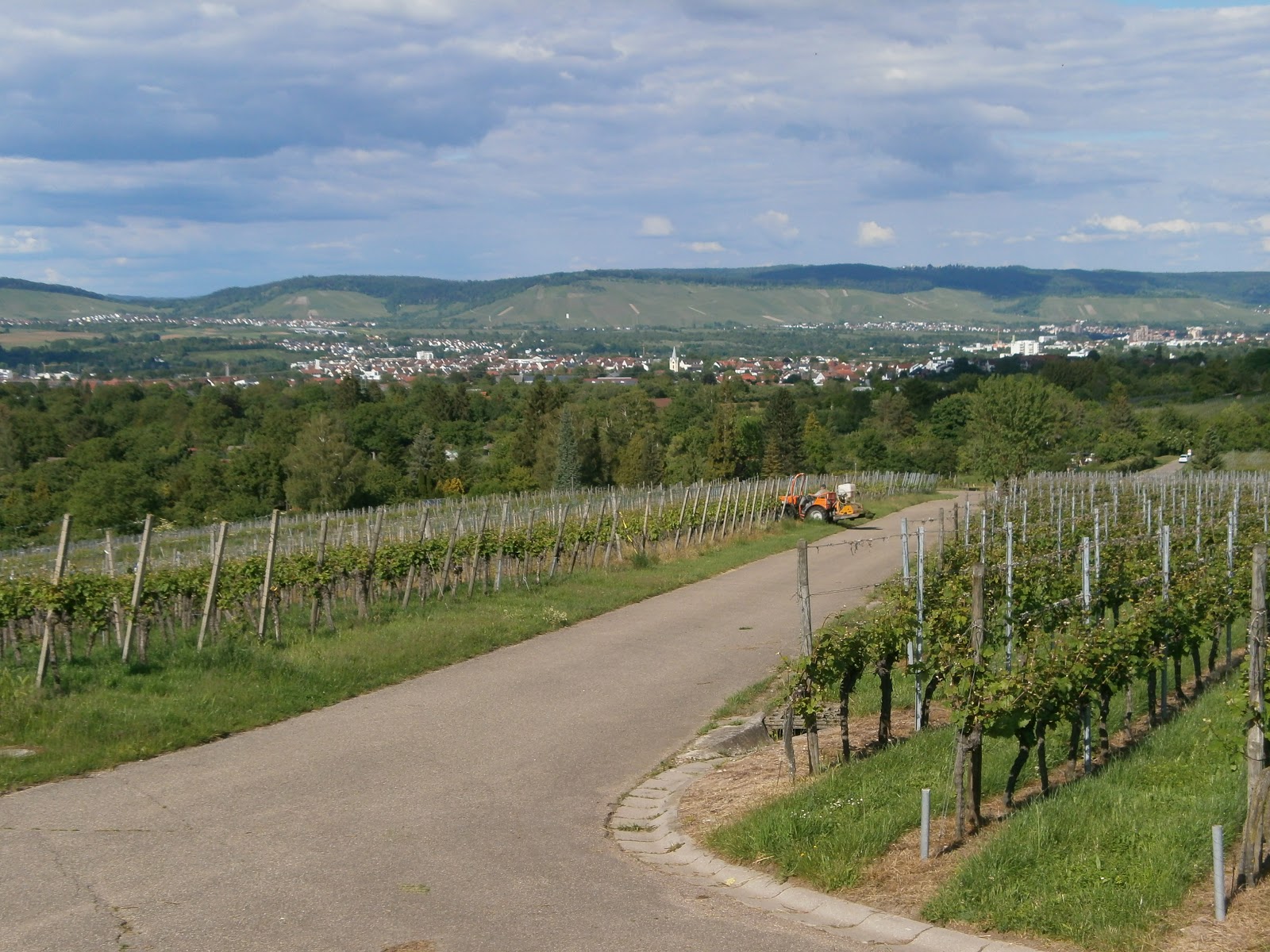 Wege in der Region Stuttgart: Aussicht vom Belvedere bei Fellbach