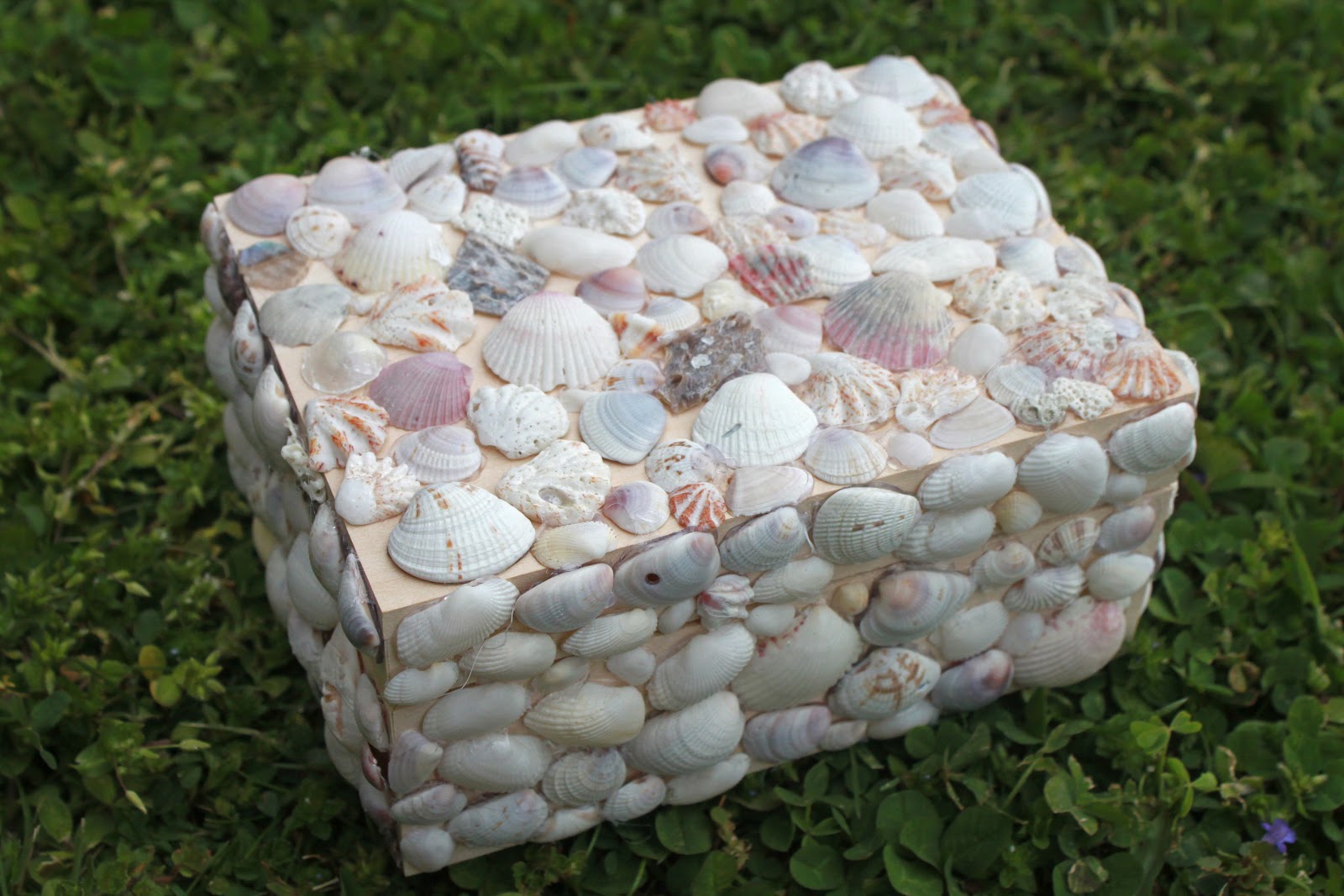 Mandie Starkey: diy | seashell jewelry box