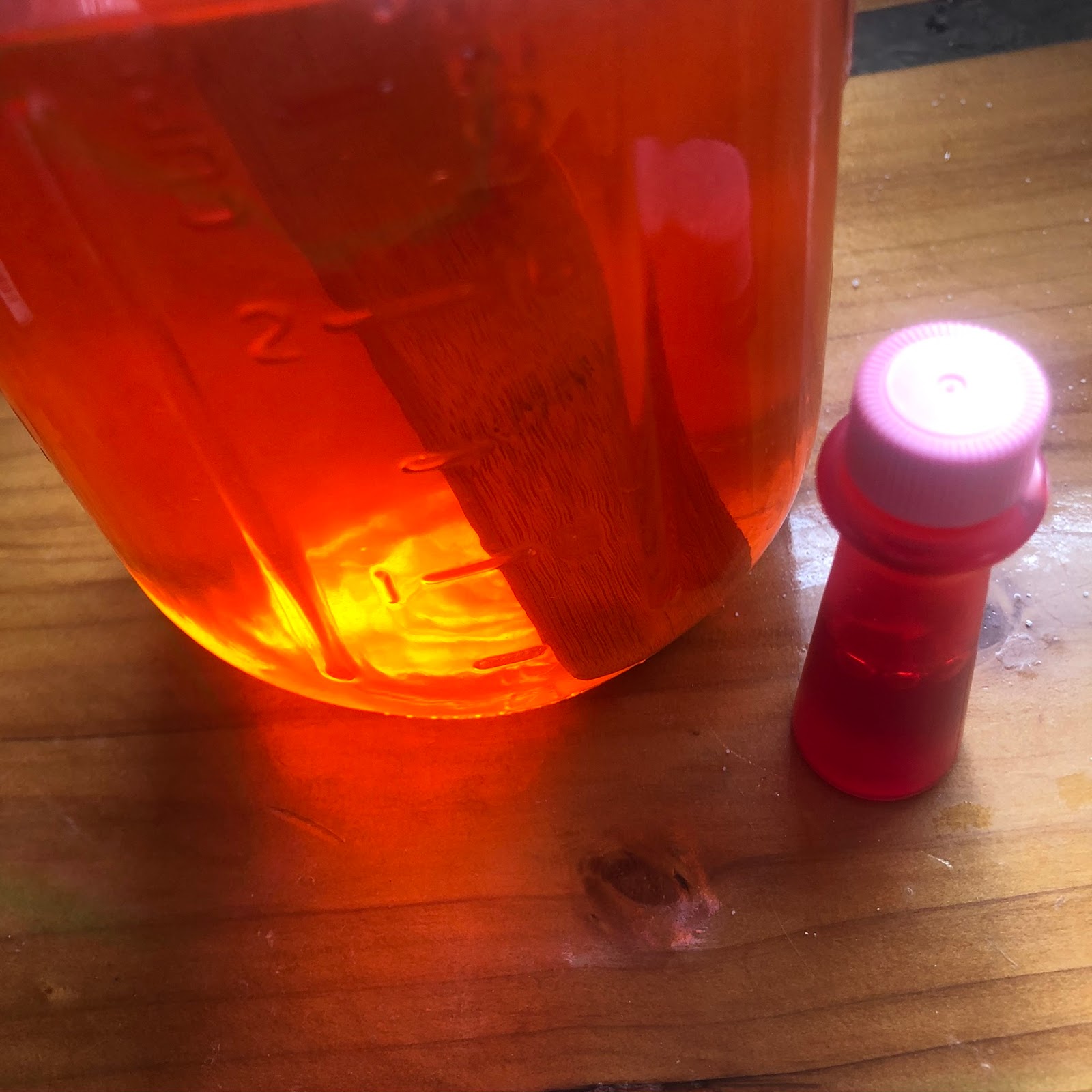 Easy Borax Crystals From Start to Finish * Science experiments