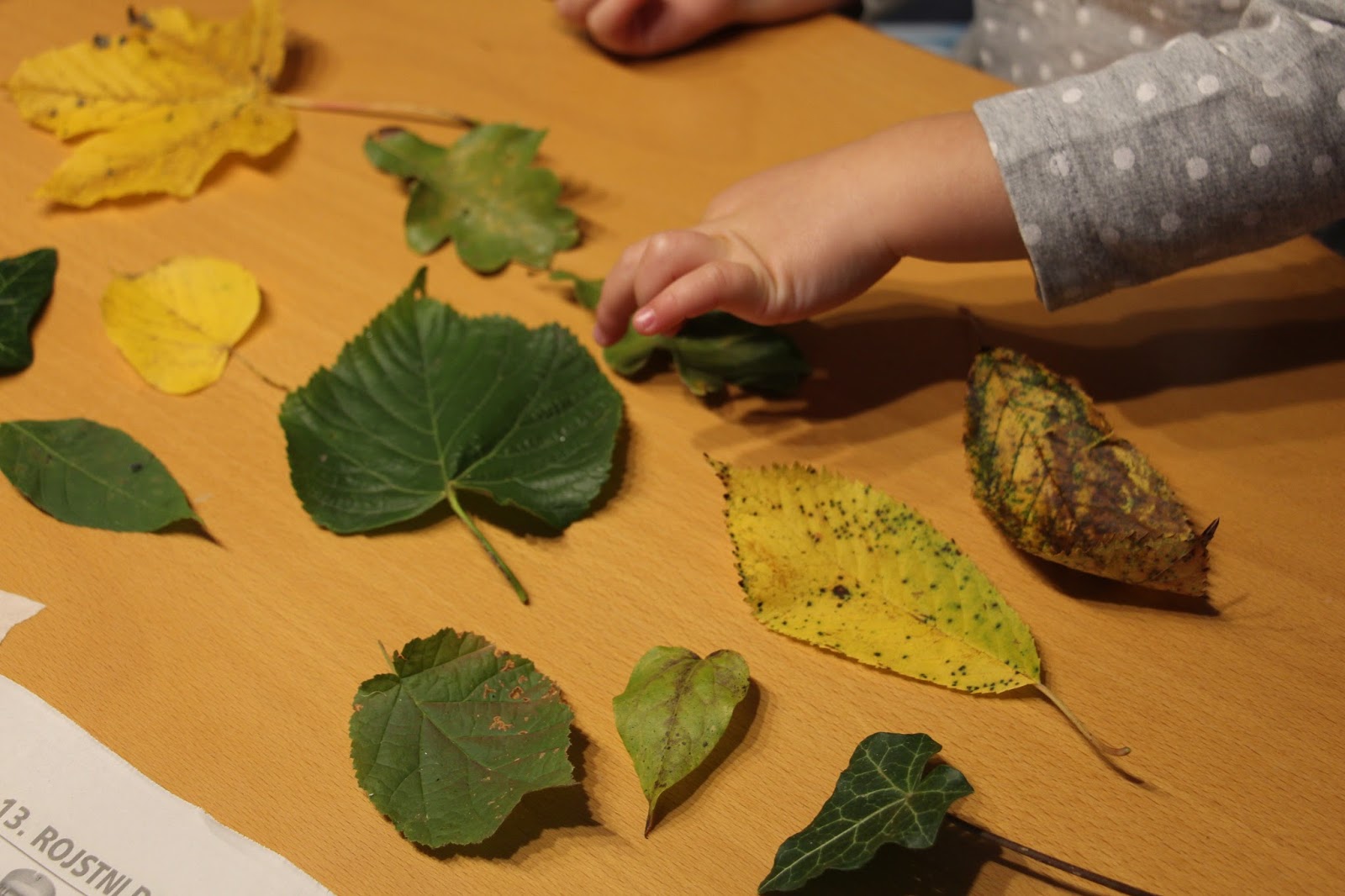Kuhartnica: Odtisi jesenskih listov