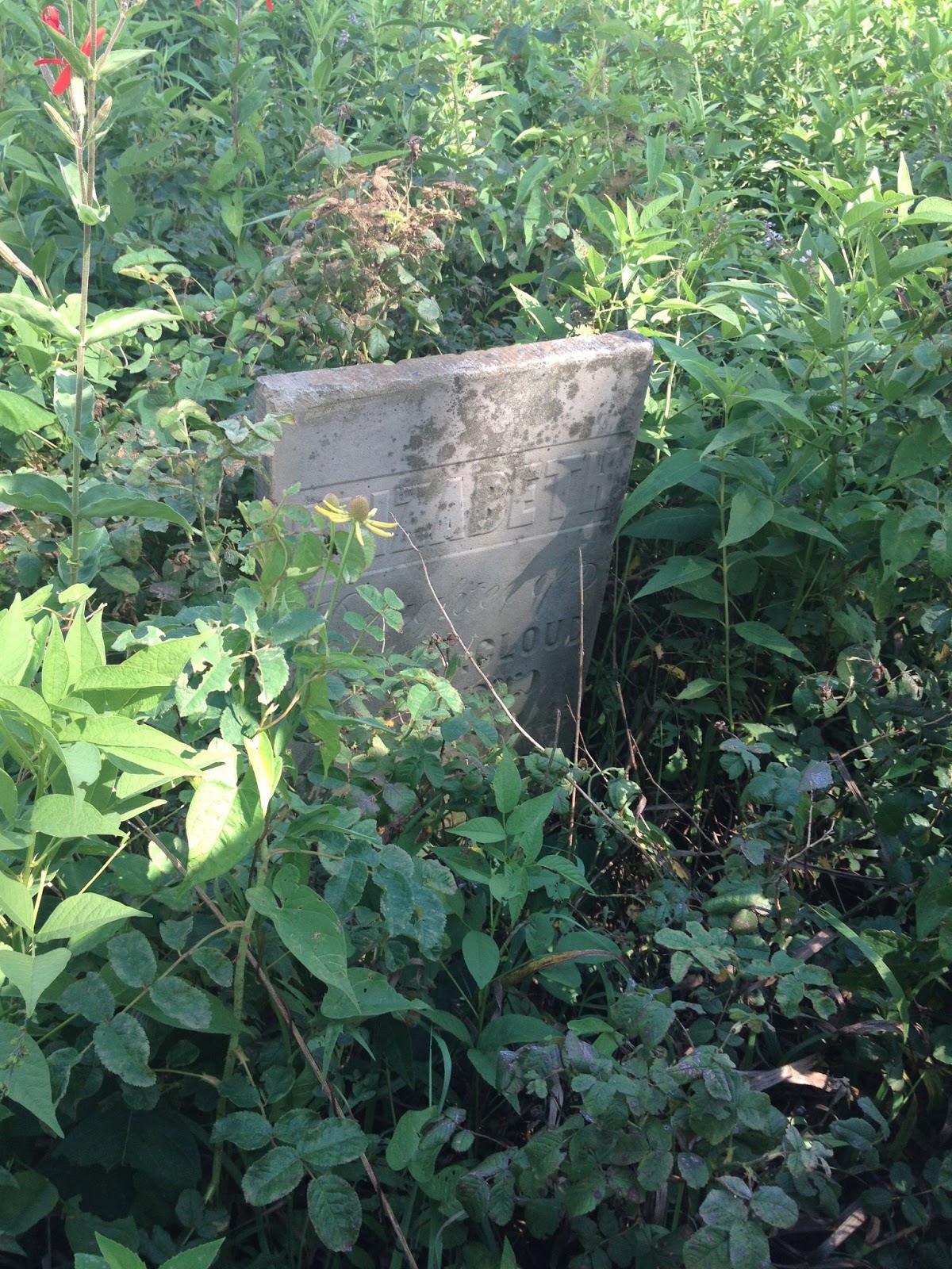 Witch Mom: Graveyard Work