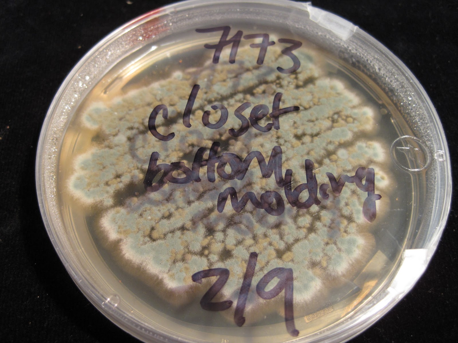 NCSU PDIC: October 2011