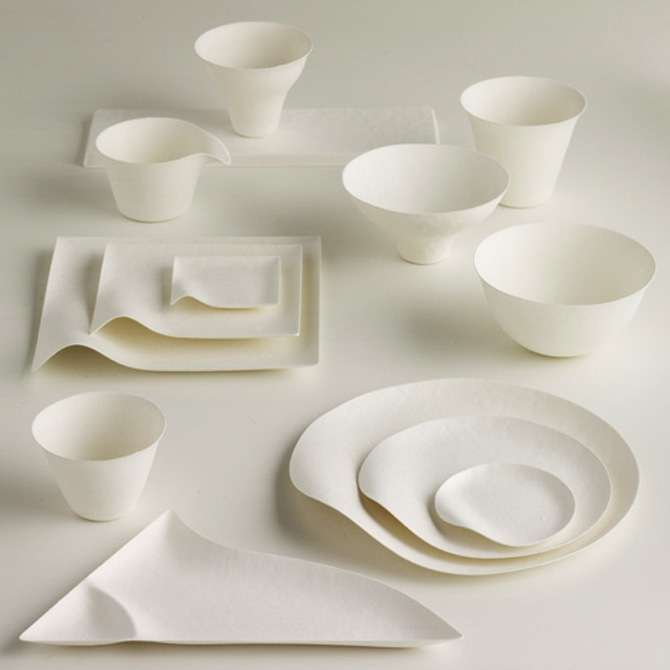 Mashmoom: Wasara stylish disposable paper dishes