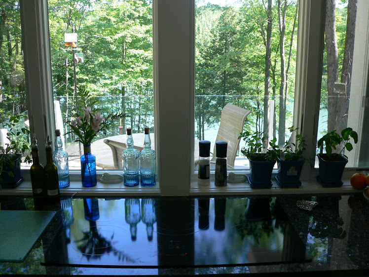 Turtle Lake Cottage - Building Our LEED/Green Home: 2011-01-02