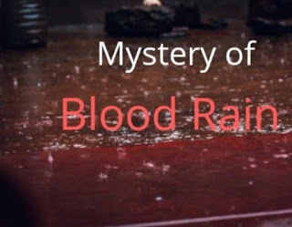 Mystery Behind the Blood Rain of Kerala