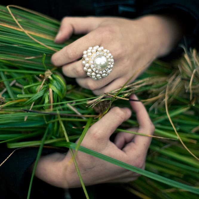 paradis express: Tim Johnson