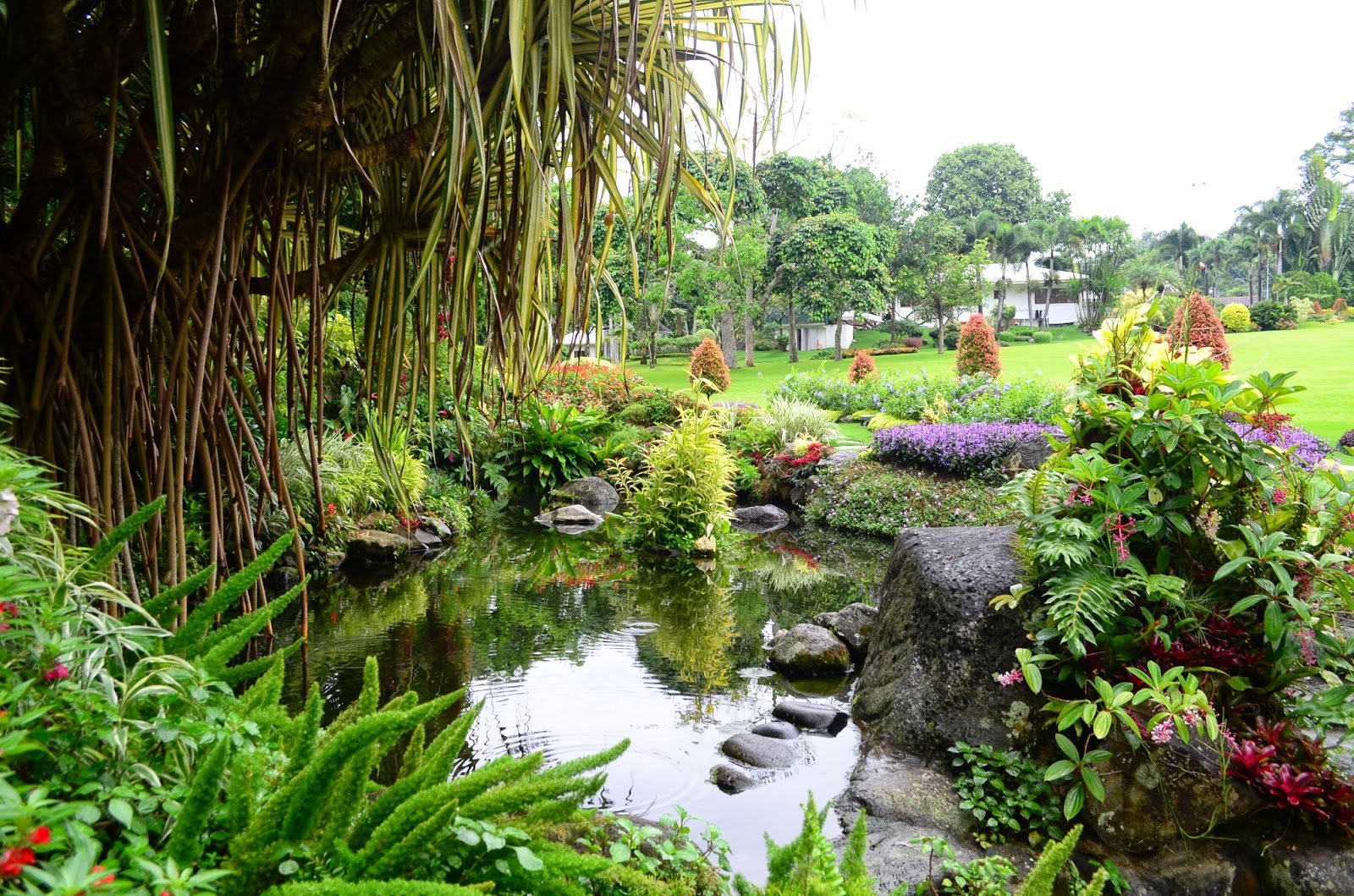 Mindanao Today: The KJC Prayer Mountain, Tamayong, Davao City