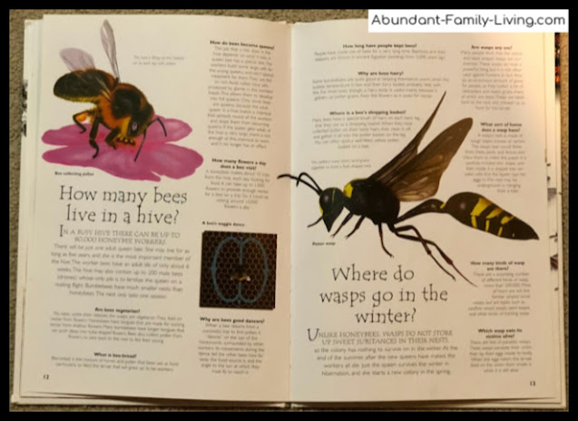 Abundant Family Living: Creepy Crawlies: Questions and Answers About Bugs