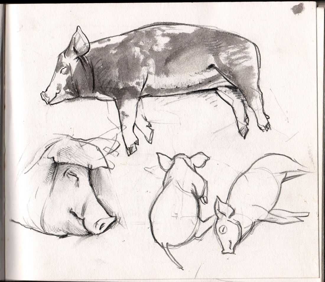 Gurney Journey: Sleeping Pigs