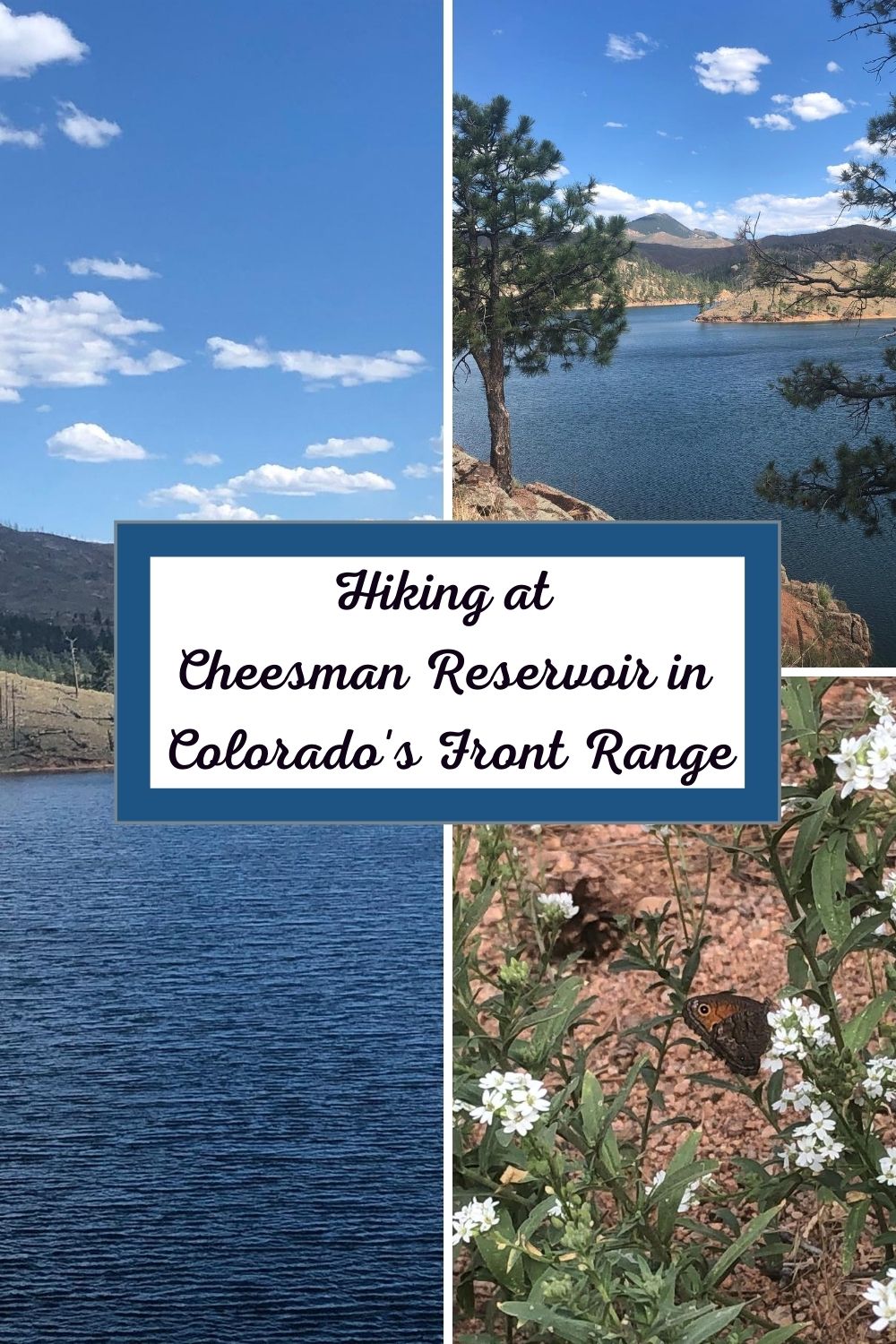 Cheesman Reservoir