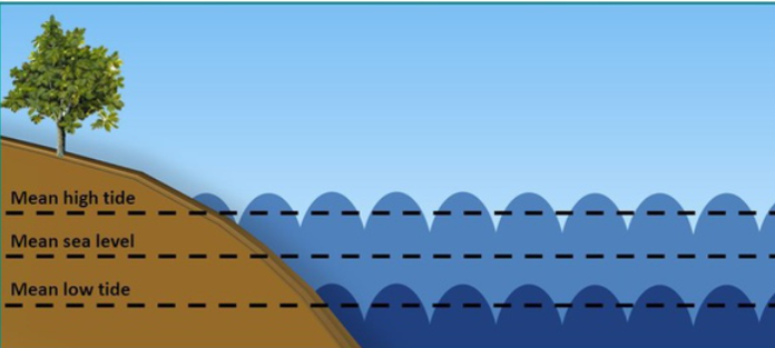 What is Levelling in Surveying? Explained with Video