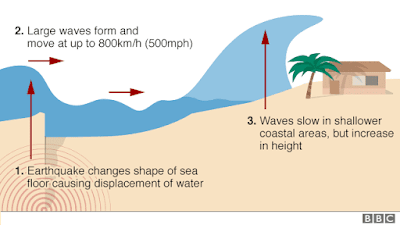 HOW ARE TSUNAMIS FORMED