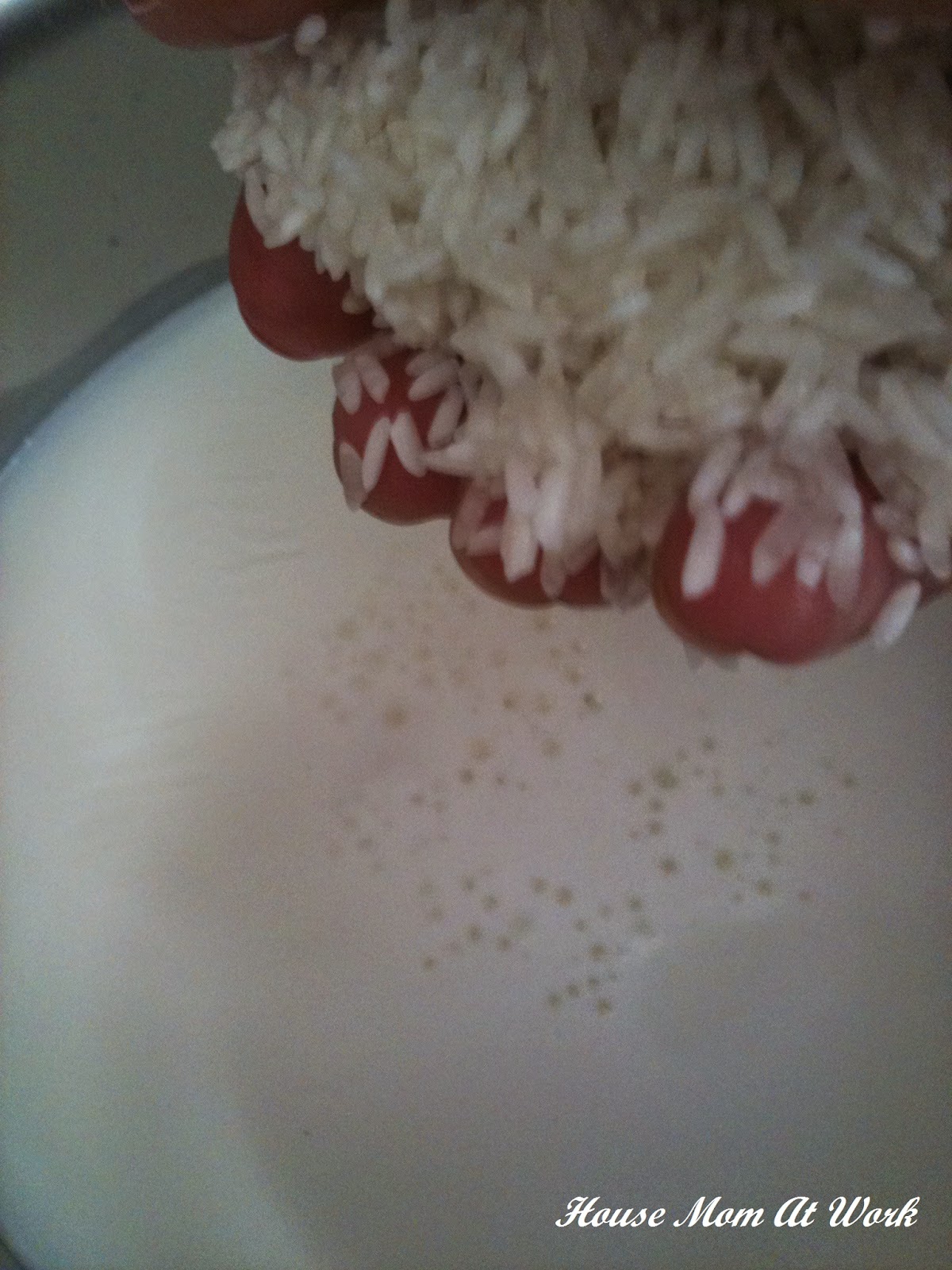 House Mom At Work: Paravannam / Pal Payasam / Kheer (Indian Rice Pudding)