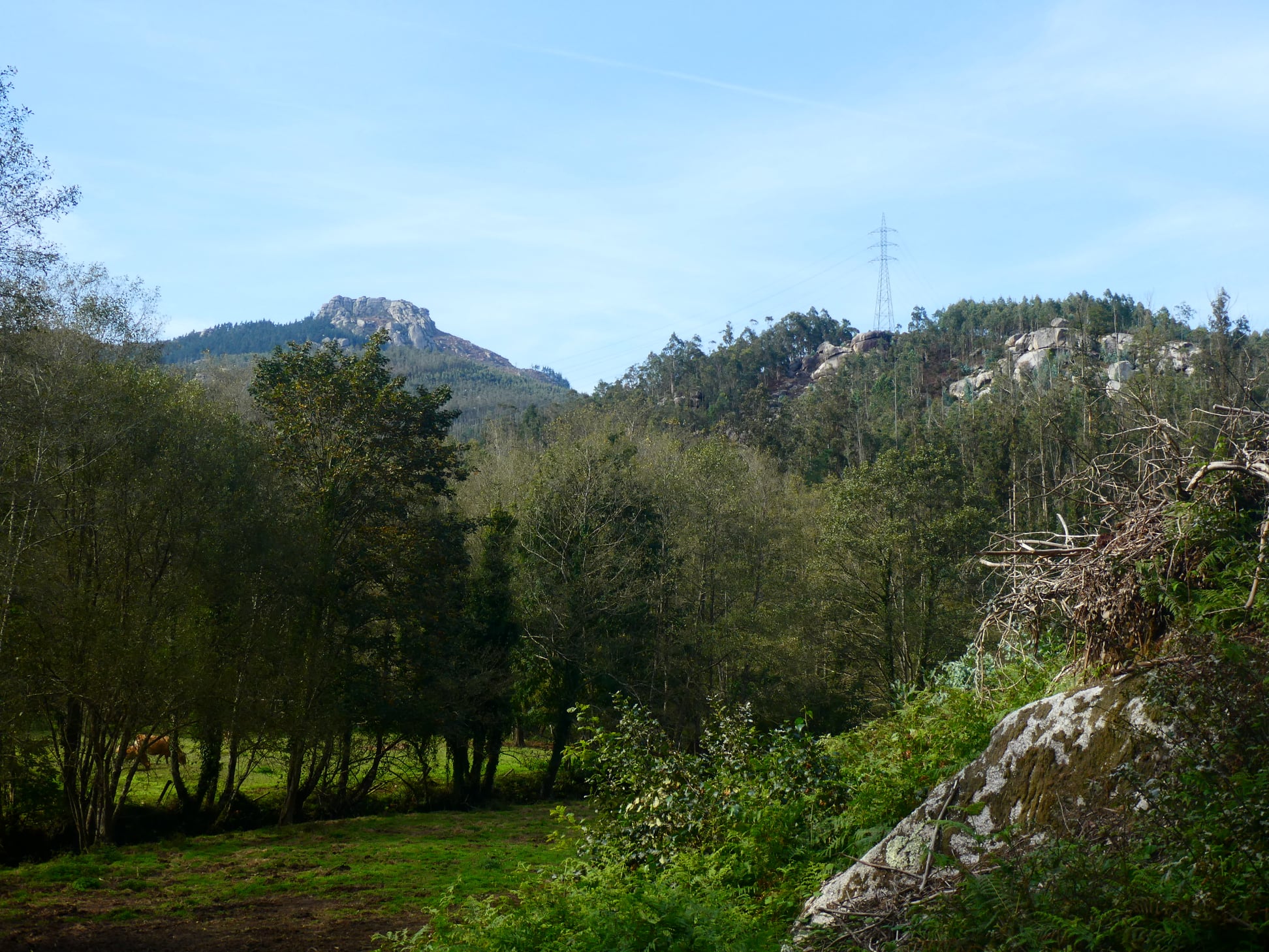 Xurde Morán: VILOALLE, EL COTO DA RECADIERIA Y SAN LÁZARO: ENLACE CON ...