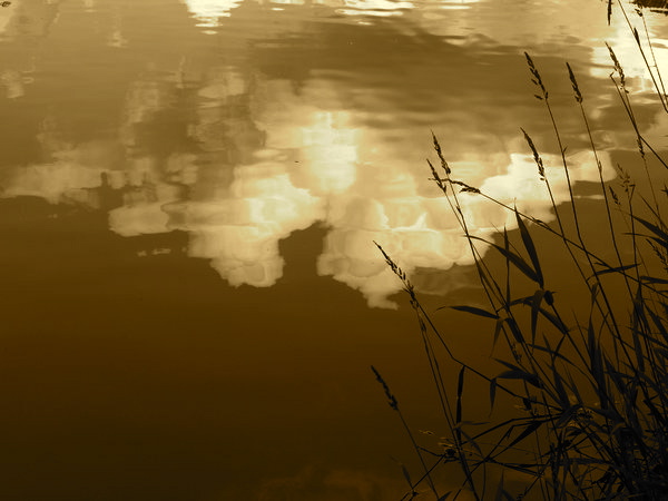 A Year of Being Here: Edith Södergran: "Forest Lake"