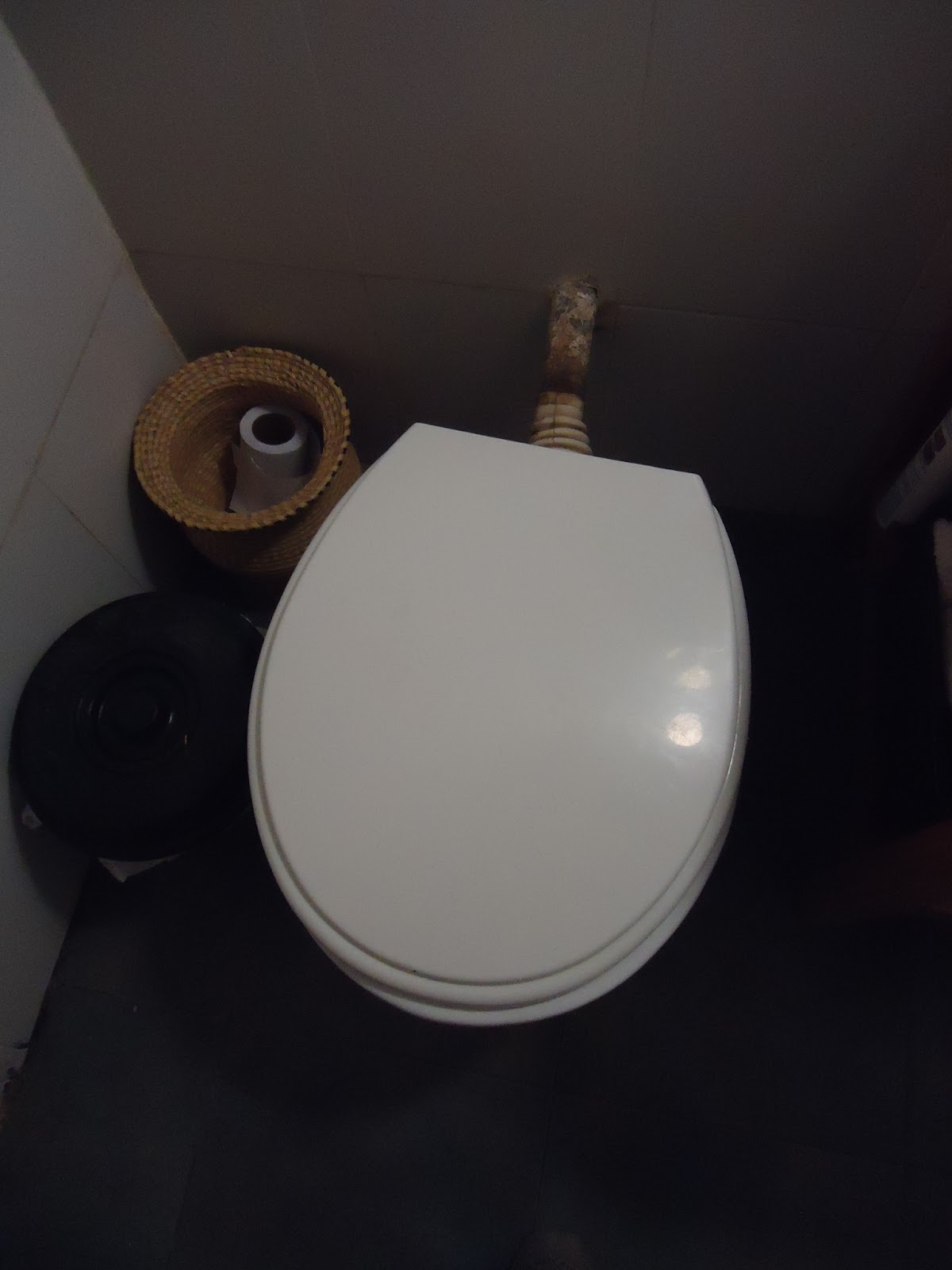 aventuras: Foreign Toilets