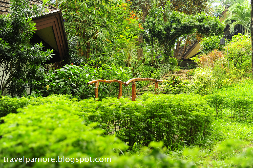 TRAVEL PA MORE!: LOOK: Amazing Pre-Nuptial (PreNup) Locations in the ...