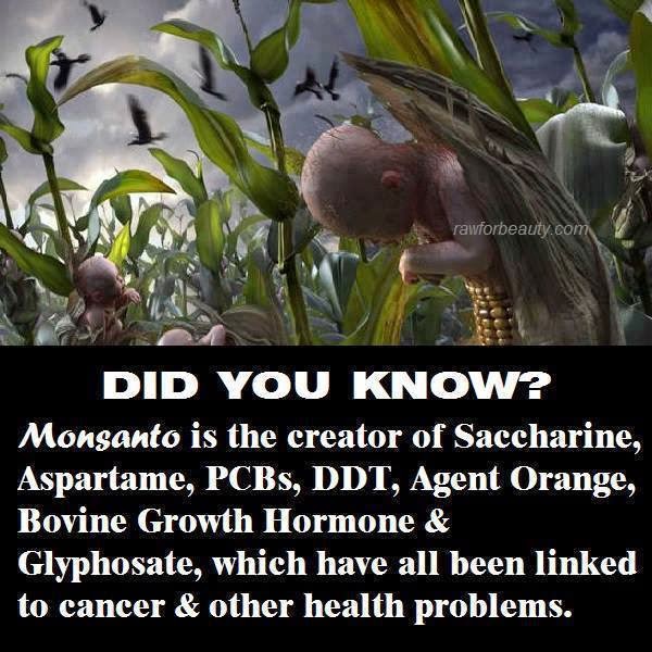 Augureye Express: Monsanto's Legacy of Death