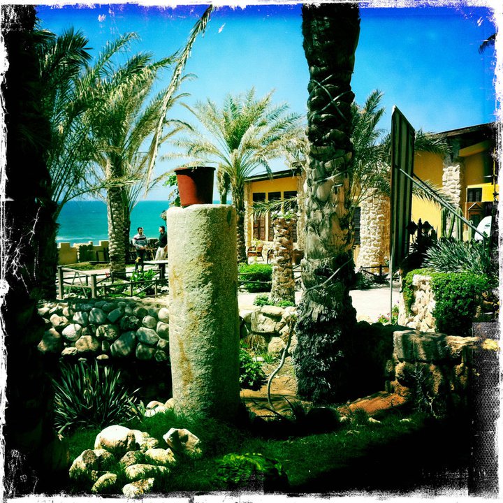 Gaza: In The Eyes Of The Beholder: Gaza's avant garde beauty revealed