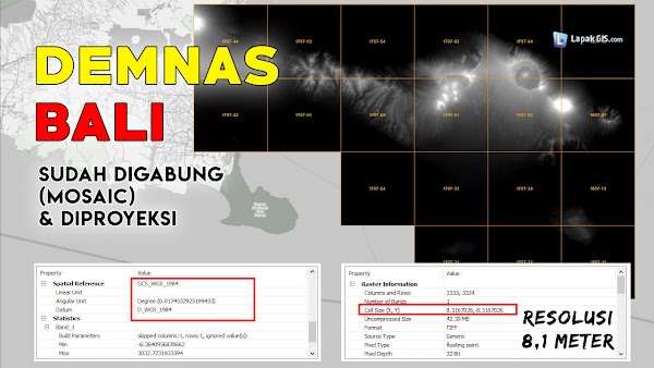 DEM Nasional (DEMNAS) Provinsi Bali Terbaru - Lapak GIS