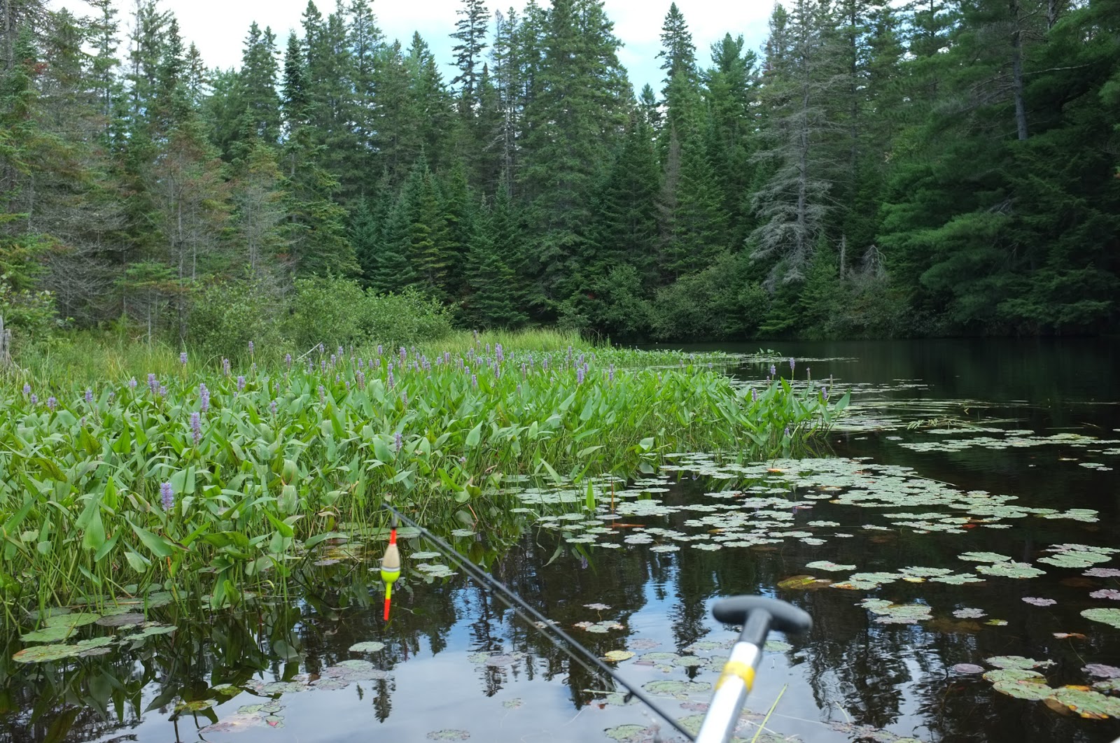 Algonquin Provincial Park - Pog Lake Campground ~ this anomal life.