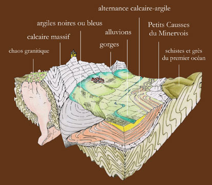 The Cambridge Wine Blogger: On Terroir