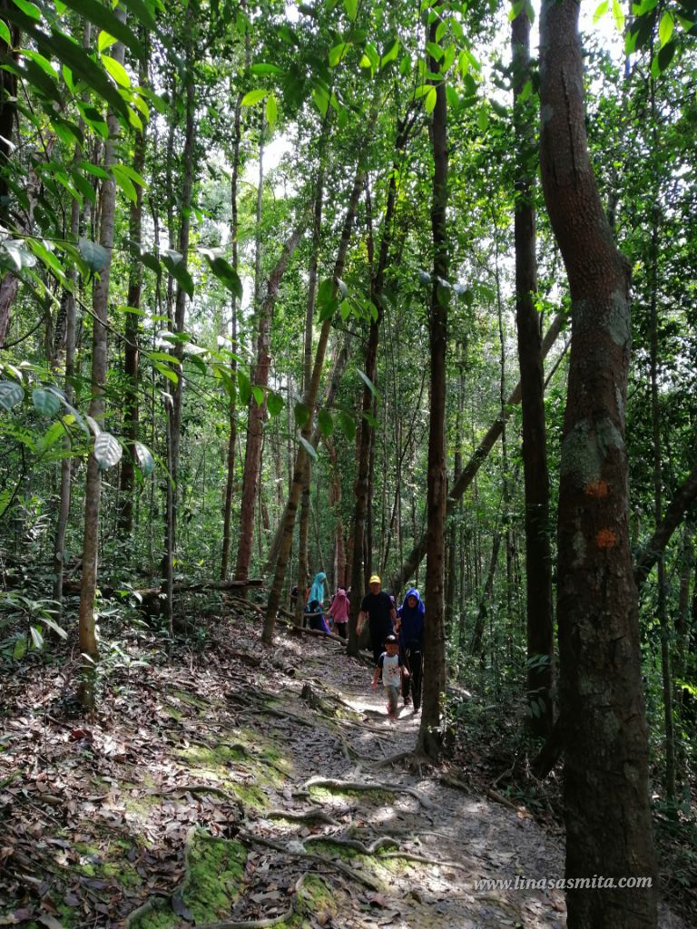 Trekking ke Telaga Bidadari Muka Kuning Batam - Kisah, Ulasan, dan ...