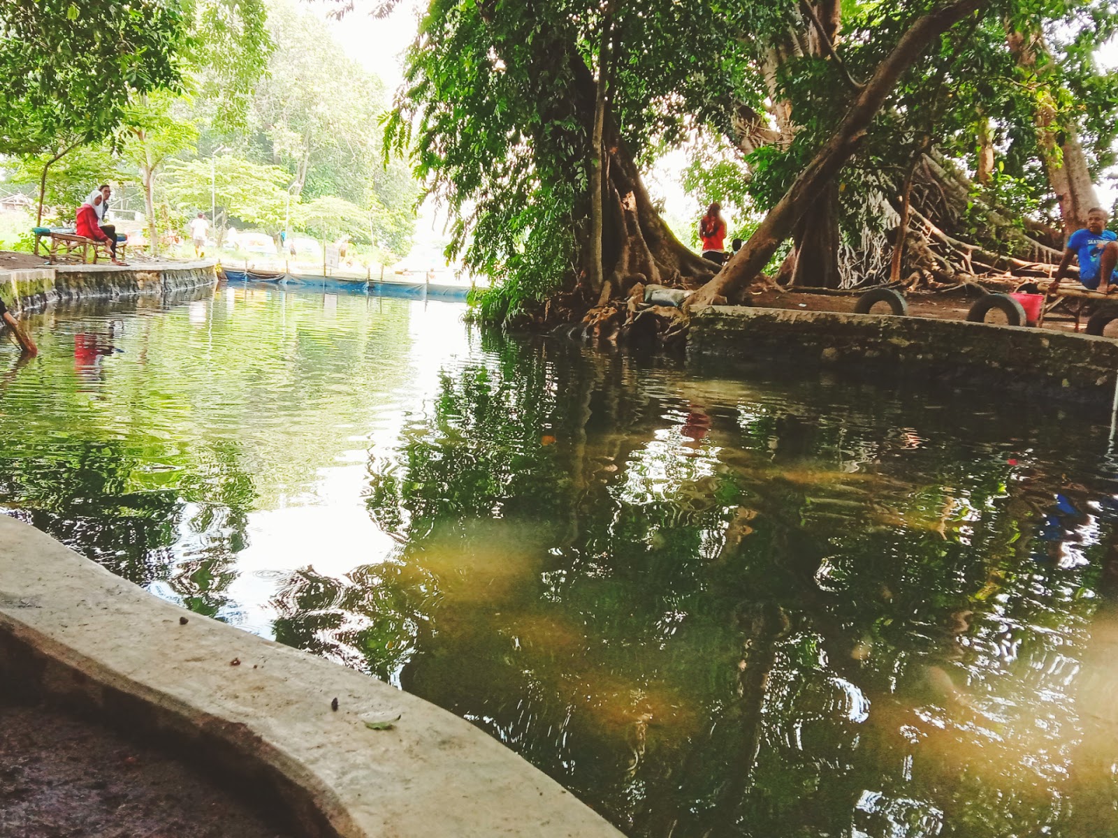 Sumber Wuluh Wisata Alam Kolam Ikan di Ngoro Mojokerto - AkhFaizal