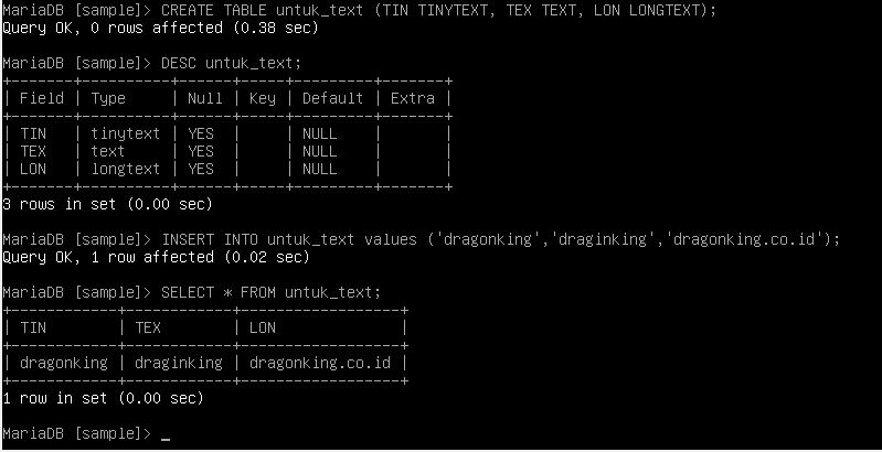 Tipe data String di mysql - Richo yura