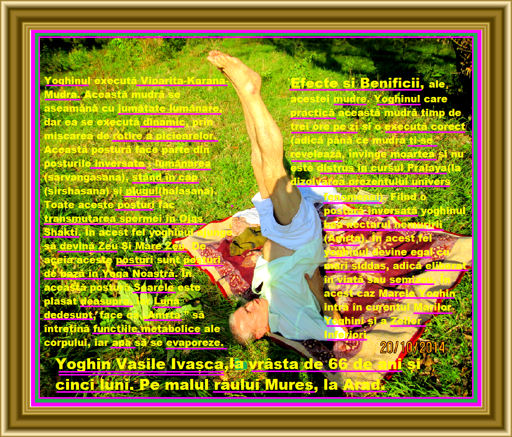 Vasile Ivașca. Yoga Marilor Zeii. Boli și blocaje ale corpului ...