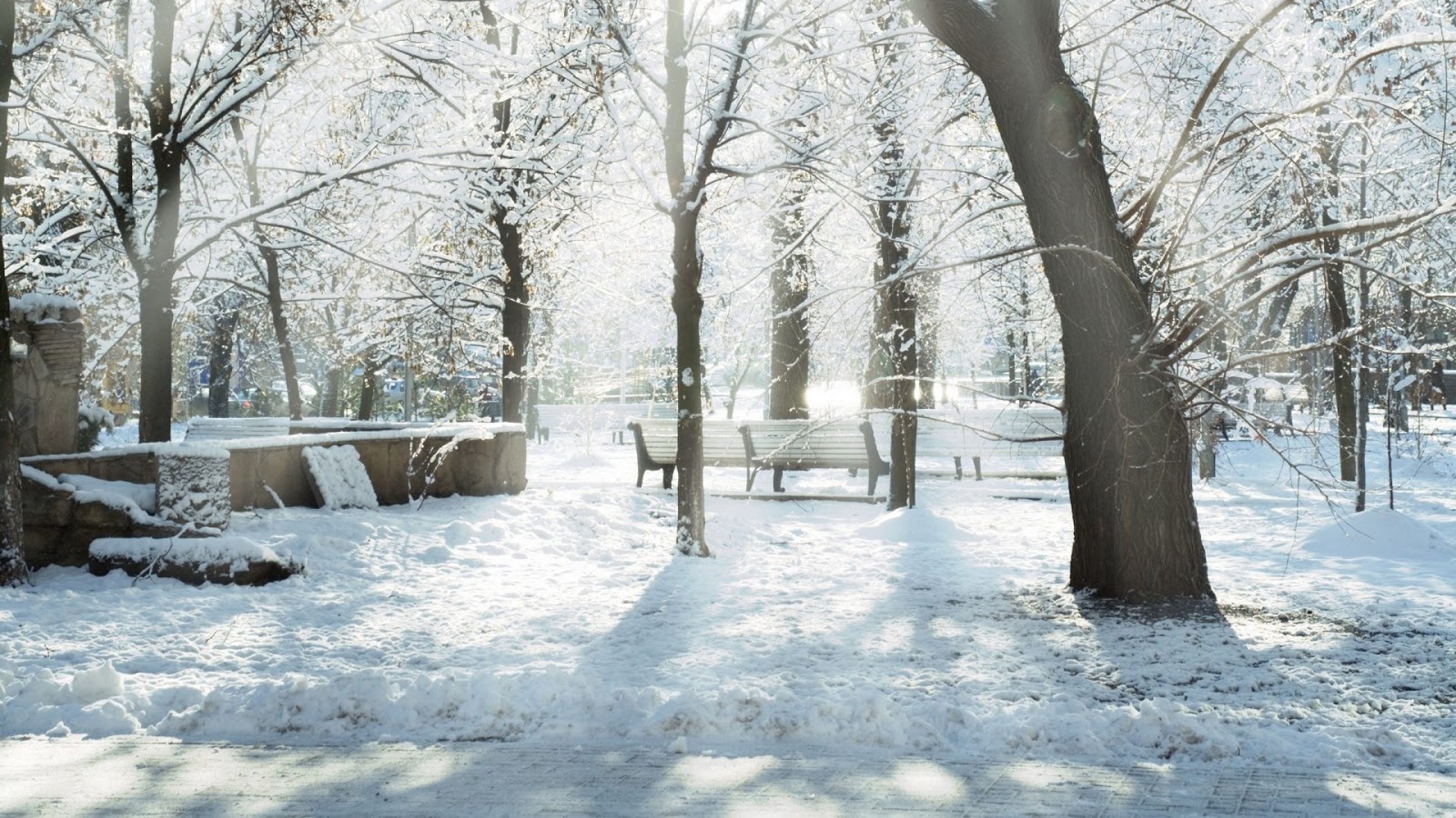 Waktu-waktu Musim di Negara beriklim Sub-Tropis - SHARE INFO