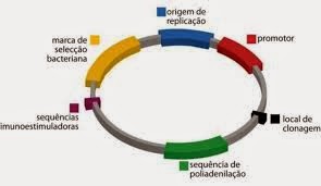 Plasmídeos Para Todos