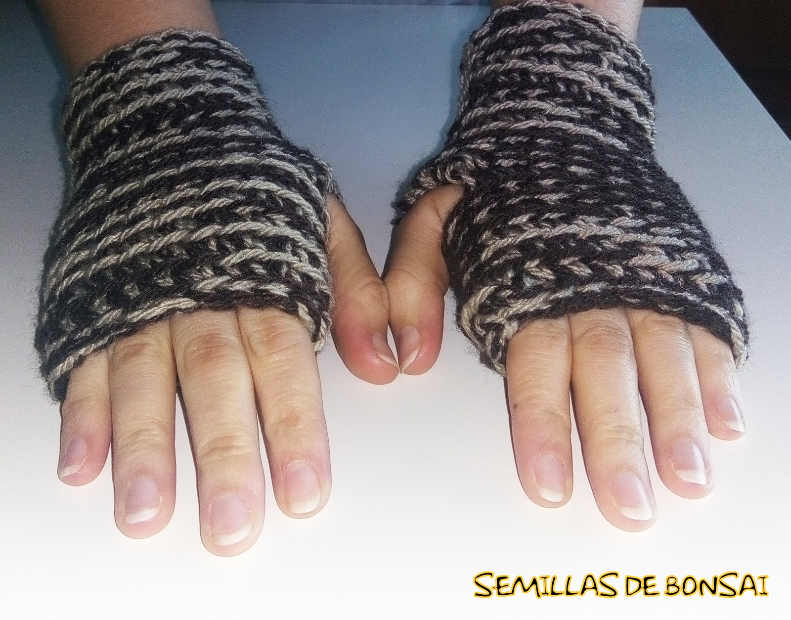 Semillas de bonsai: Mitones de colores