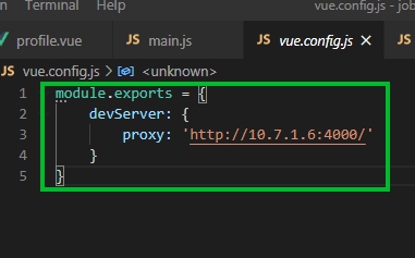 fast api in vue by devServer