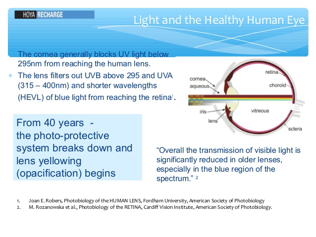 HARMFUL EFFECTS OF BLUE LIGHT