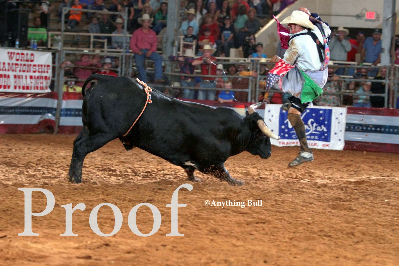 Anything Bull or Rusty: Friday Round 5 - Clint Hopping
