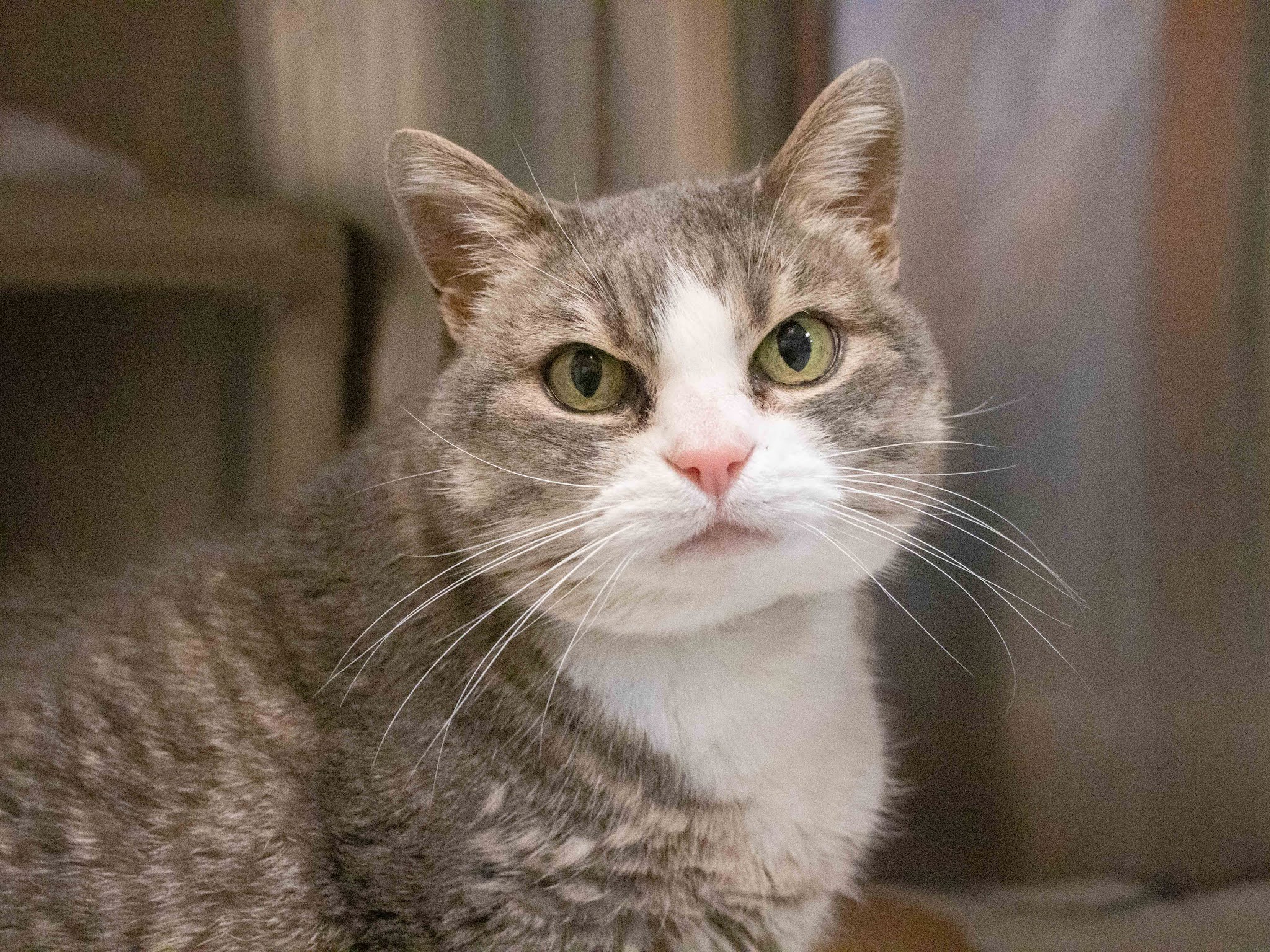 Monrovia Now: News and Comment about Monrovia, California: Missy - The ...